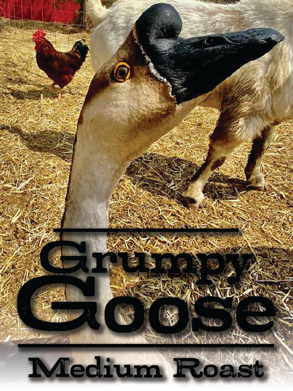 Grumpy Goose: Medium Roast Coffee – Cowboy Max Coffee